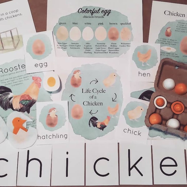 Clouds Mini-bundle - Nature Studies 3-part Cards, Mini Poster, Fact ...