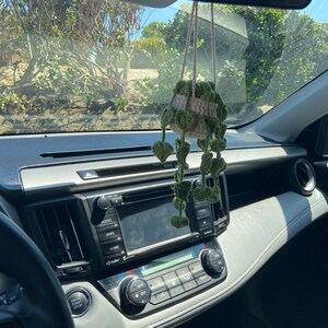 Car Plants Succulent Car Plant Decor Car Plant Hanging - Etsy Australia