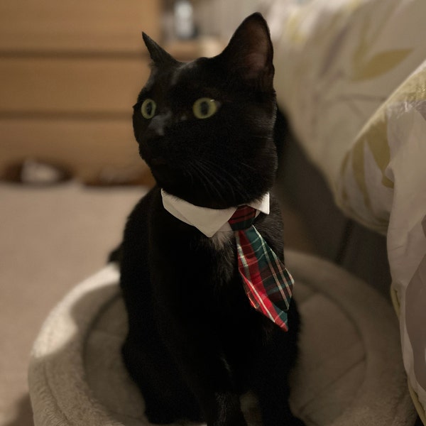 Black Satin Cat Bow Tie, Wedding Cat Bow Tie - Etsy