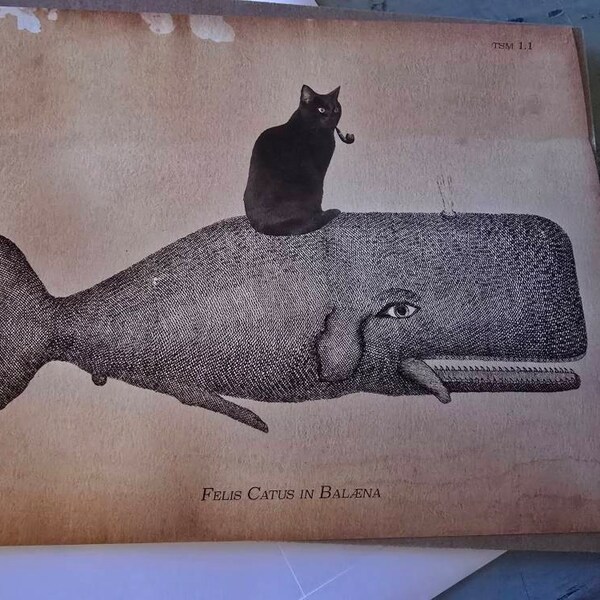 Black Cat Riding Whale Vintage Collage Print Tea Stain Cat Art Cat ...