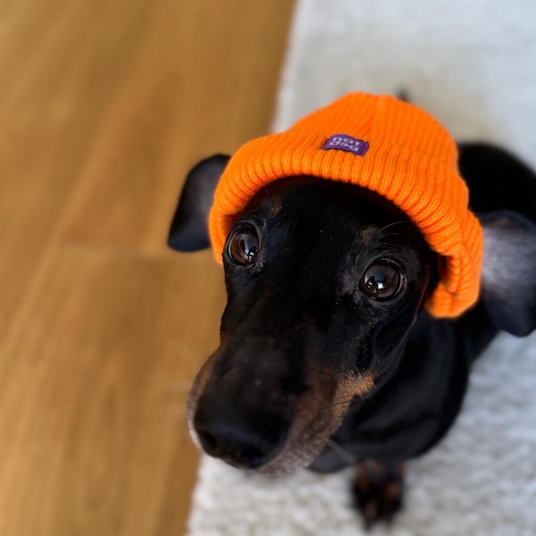 Corduroy Dog Cap – Stylish Dog Baseball Hat With Ear Holes | Adjustable ...