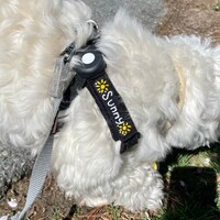 Velcro Dog Name Tag for Harness, Velcro Dog ID Tag, Custom ID for ...