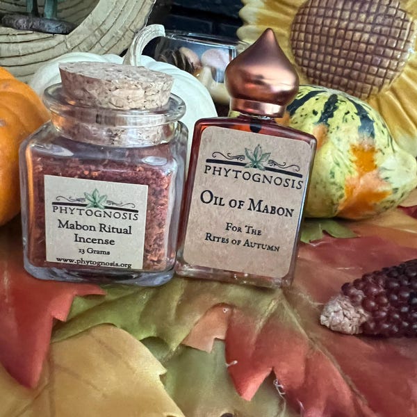 Master Root Oil - A Hoodoo Traditional Oil for Mastery Over All Things ...