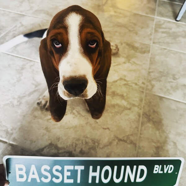 Basset Hound, Basset Hound Gift, Basset Hound Sign, Dog Lover Gift ...