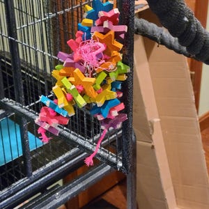 Macaw Ladder, Large Bird Toy - Etsy
