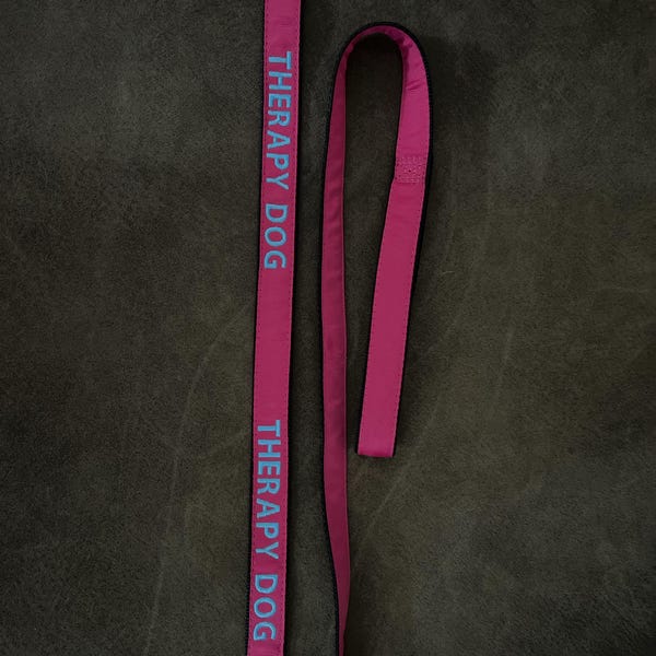 Custom Personalized Embroidered Dog Leash - Etsy