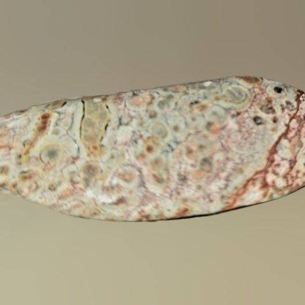 Oco Geode Cut Crystals (avg 3.5 Lbs) Box Flat Bulk Wholesale Lot Rough ...