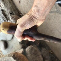 Mullin Family Crest Irish Coat of Arms Irish Family Crest Gifts Ireland ...