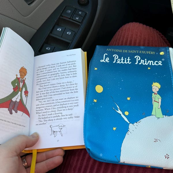 A History of Magic Book Bag, Wizard Book Purse, Spell Book Crossbody ...