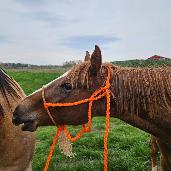 Two Tone Mule Tape Hobbles - Etsy