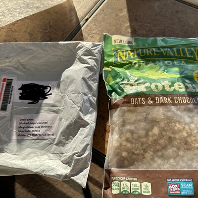 GREEN WORLD Eucalyptus/nilgiri/safeda Tree Seeds - Etsy