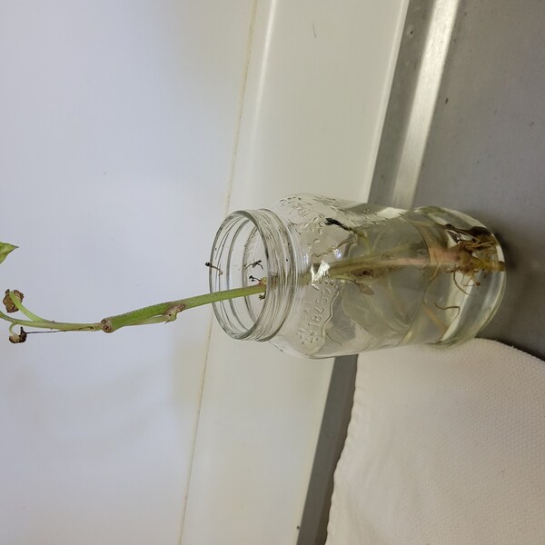 Knitting Pattern, DIY, Lighthouse Illusion Beanie Knitting Pattern ...