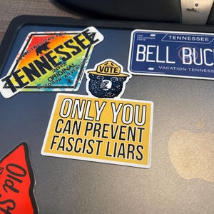 When Fascism Comes to America Vinyl Sticker - Etsy