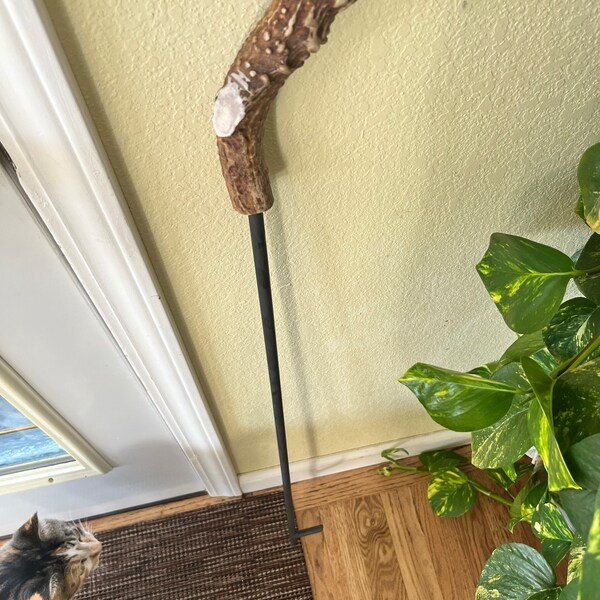 Lamp Shade 16 Flying Loon - Etsy