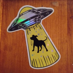 Flailing Cat / UFO Abduction Sticker Holographic Decal - Etsy