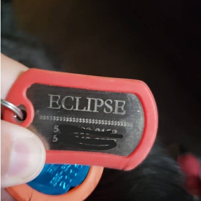 Made in USA Military GI Dog Tags Kit With Tag, Silencer and Fastener ...