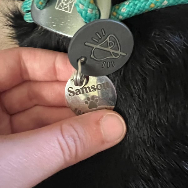 Microchip Dog Tag, Custom Dog Tag, Microchipped, Pet Tag, Dog ID Tag ...