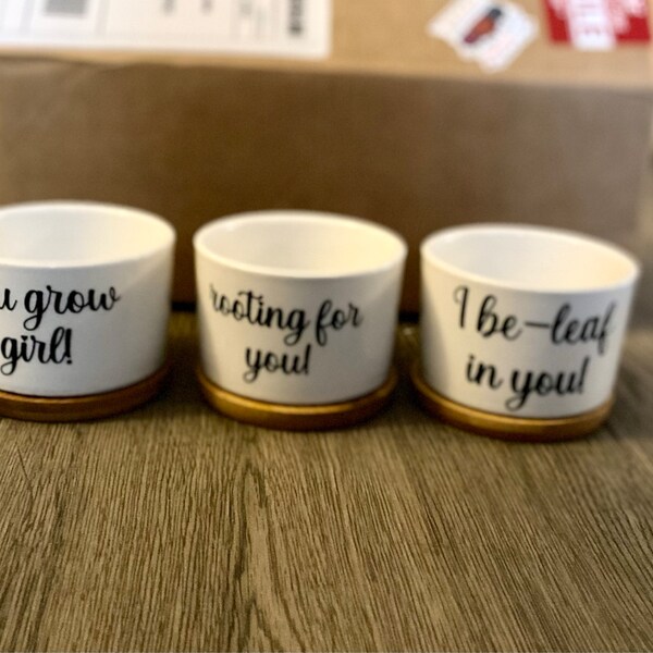 Positive Planters 3 Pack Succulent Pots, Cute Cactus Multipack Pots ...