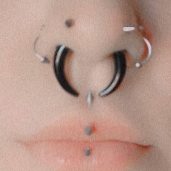 2 PCS Acrylic Crescent Septum Pincher/ear Gauges Tapers/tapered Buffalo ...