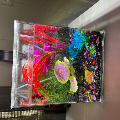 DIY Self Cleaning Conversion Kit for Anchor Hocking 2 Gallon - Etsy