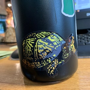 Become Moss Vinyl Decal - Etsy