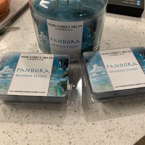 PANDORA BANSHEE FLIGHT Disney Inspired Candle 9oz Jar Natural | Etsy