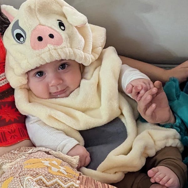 Dog Pig Costume, Pua From Moana Costume for Pets, Pig Costume for Dogs ...