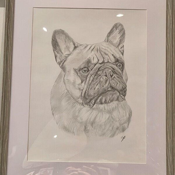 Custom Dog Drawing From Your Photo, Custom Dog Sketch From Your Photo ...