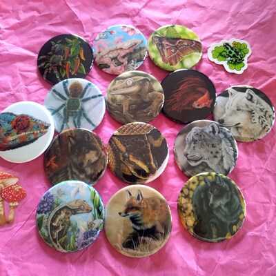 Velvet Spider Sticker 3.5 Inch Glossy Sticker Ladybird Spider Insect ...