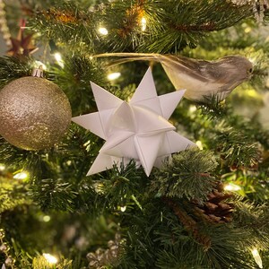 13 Red & White German Paper Stars Froebel Stars Moravian Stars Star ...