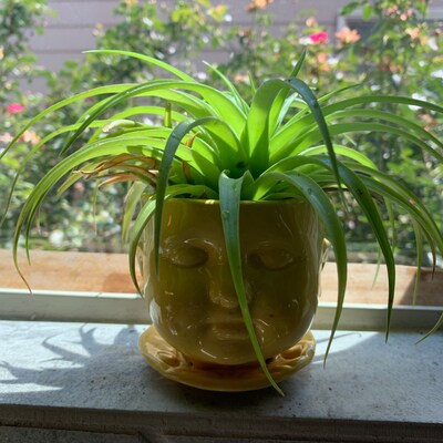 Human Heart Wall Vase Human Heart Vase Holds Water for - Etsy