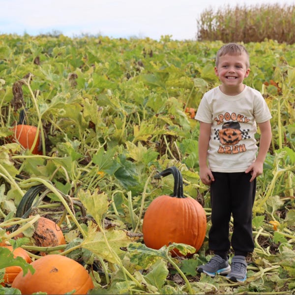 Meet Me at the Zoo Shirt, Matching Zoo Shirts for Toddlers, Matching ...