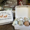 Goose Egg Cartons Color Printed Vintage Themed (set of 5 Cartons) Holds ...