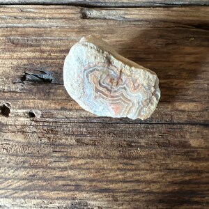 Charming omar Stones Greywacke With Pits. Lake Superior Omarolluk - Etsy