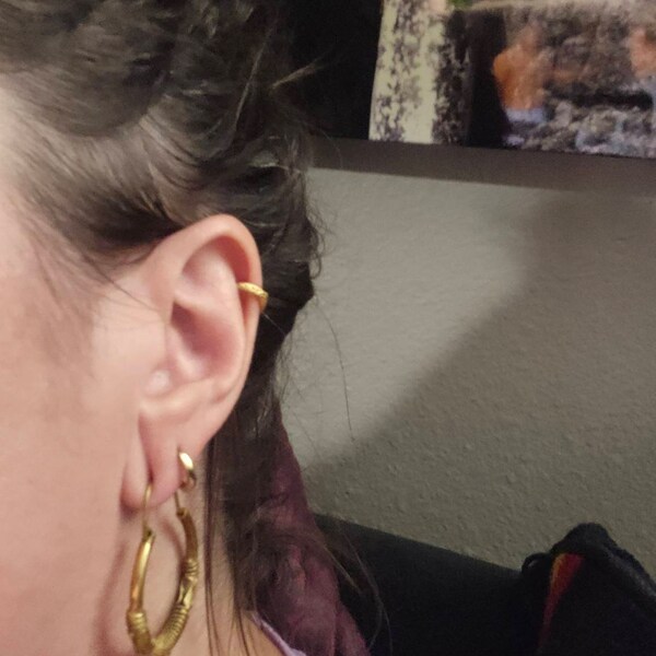 Snake Hinged Segment Hoop Earring, 16g Snake Cartilage Hoop, 16g Snake ...