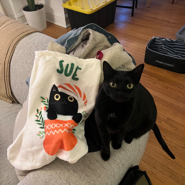 Personalized Cat Christmas Stocking, Jolly Orange Cat Wearing Stocking ...