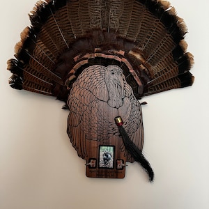 Custom Turkey Plaque Tail Mount, Personalized, Unique Fan, Beard, and ...