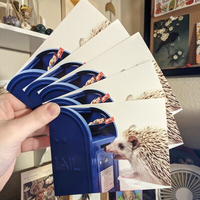 MCM Hedgehog Postcard Set of 2 Mid-century Mirah Postcards - Etsy