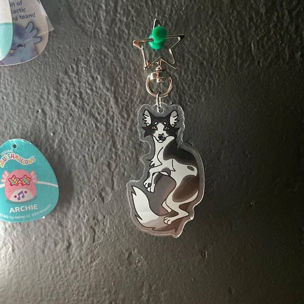 Theta Delta Coyote Wolf Therian Acrylic Keychain - Etsy