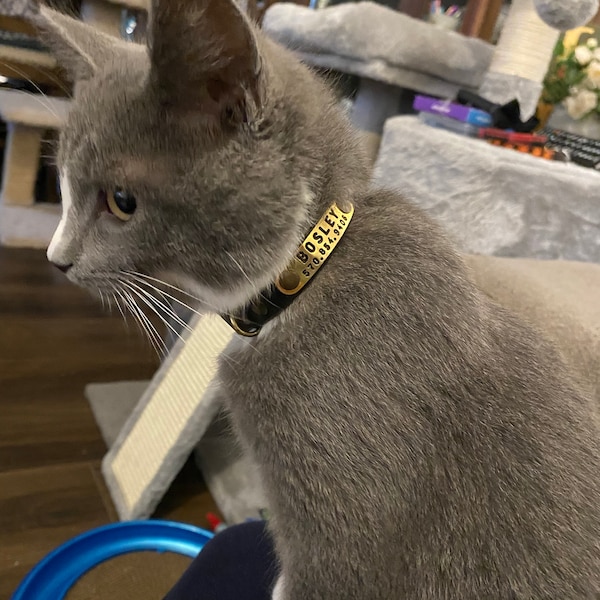 Cat Collar Leather, Cat ID Tag, Breakaway Cat Collar, Personalized Cat ...
