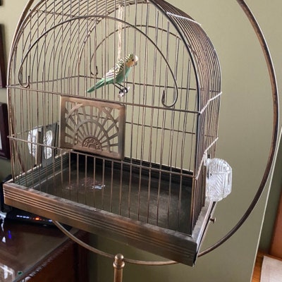 Purple HYACINTH BEAN Vine Trellis Plant 20 Seeds Thomas - Etsy