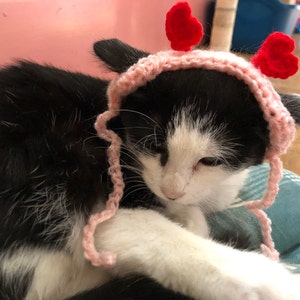 Crochet Pattern: Valentines Day Heart Headband for Cats With Ear Holes ...