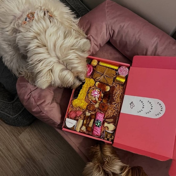 Large Dog Birthday Hamper • Meaty Treat Gift Box for Large Breeds ...