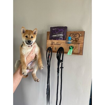 Personalised Engraved Wood Wall Mounted Dog Lead and Treat Holder ...