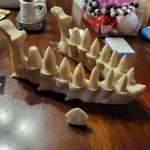 Dragon Teeth Dice Set - Etsy