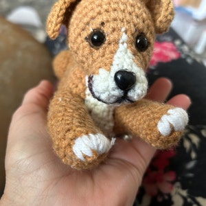 Fanmade Baldurs Gate 3 Goostarion Astarion Meme Crochet Amigurumi ...