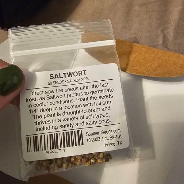 Saltwort Seeds – Heirloom Edible Green, Asian Culinary Herb, Medicinal ...