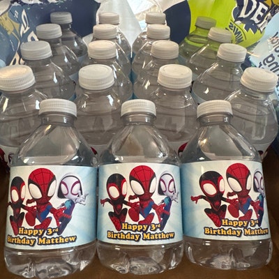 Pikmin Sticker Labels Favors Birthday Party Decoration Filler - Etsy