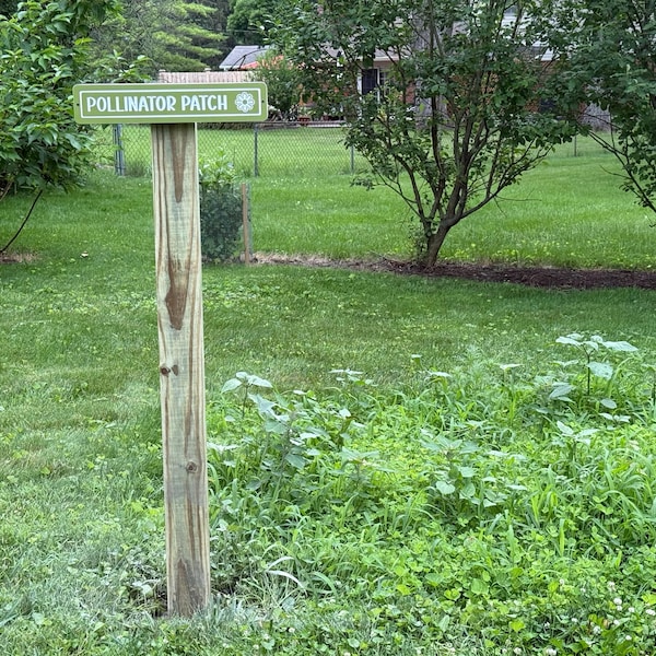 Custom Carved PVC Street Sign | Family Name Cabin Road Sign | Custom ...