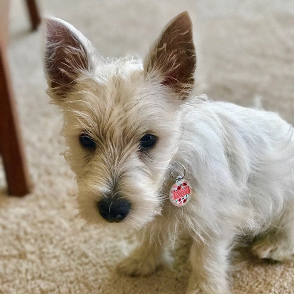 Poppy Dog Tag, Flower Pet Tag, Dog Name Tag | Personalised Pet Tag - Etsy